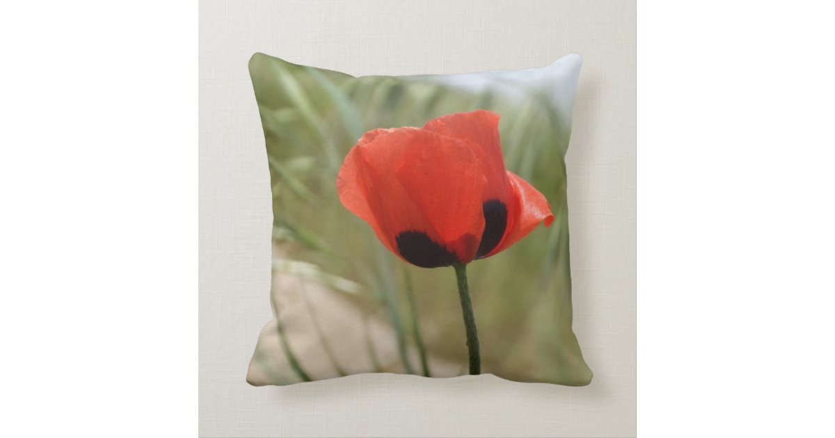 Poppy Cushion | Zazzle.com