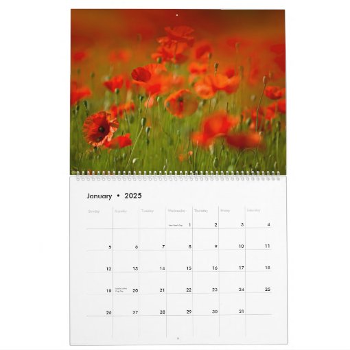 Poppy Dreams Calendar | Zazzle