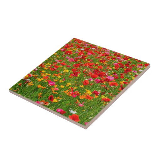 Poppy Field Ceramic Tile | Zazzle