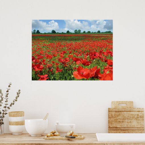 Poppy Fields Poster | Zazzle