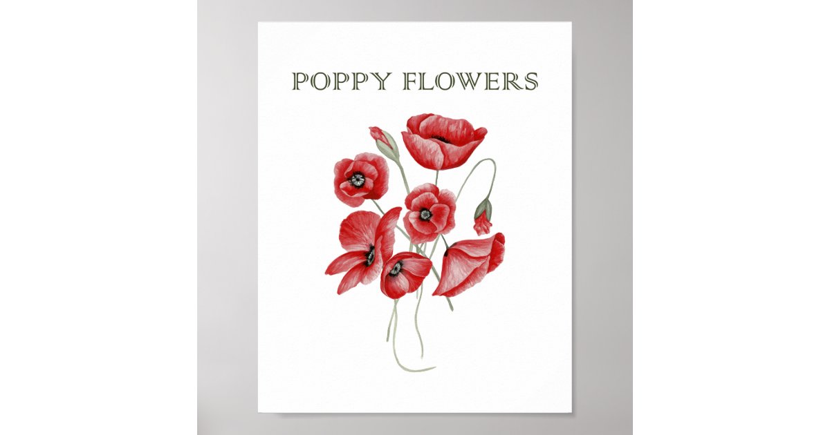 Poppy Flowers Poster | Zazzle