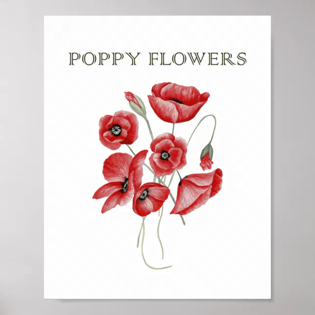 Poppy Flowers Poster | Zazzle