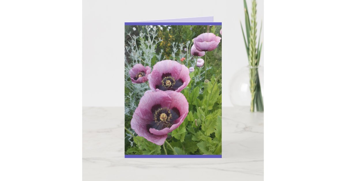 Poppy Poppies Pink purple Flowers Birthday Card | Zazzle