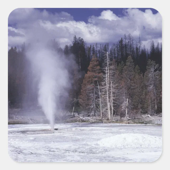 Pork Chop Geyser ,Yellowstone National Park Square Sticker | Zazzle