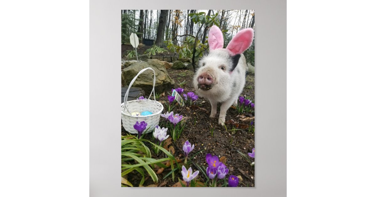"Pork Chop" The Easter Pig! Poster | Zazzle