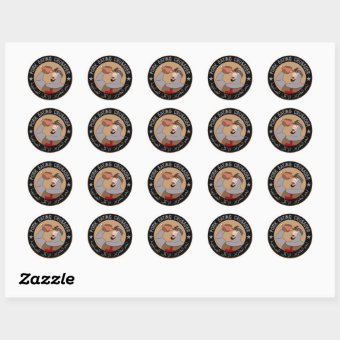 Pork Eating Crusader Classic Round Sticker | Zazzle
