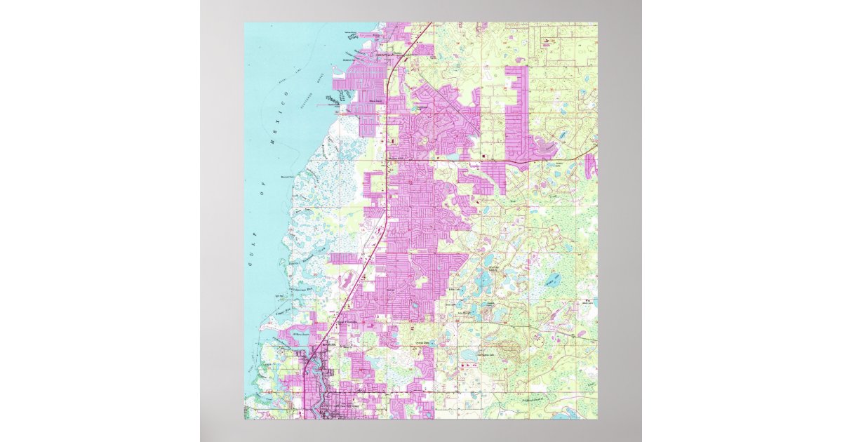 Port Richey & New Port Richey Florida Map (1954) Poster | Zazzle