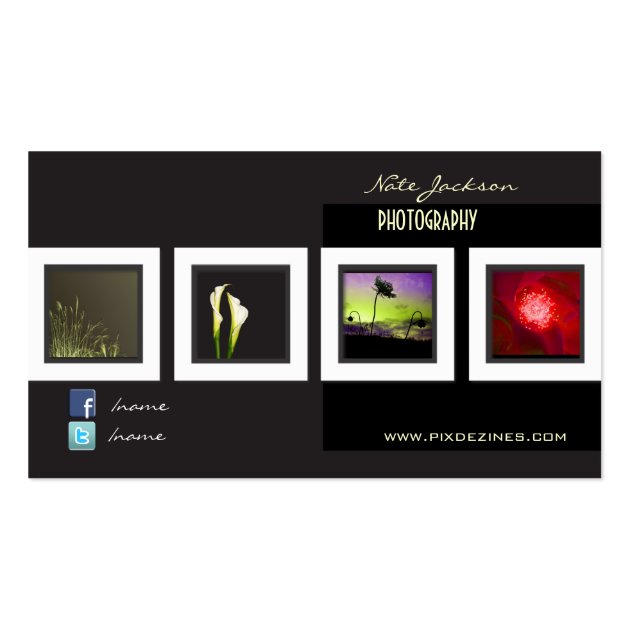 Portfolio business cards photos template