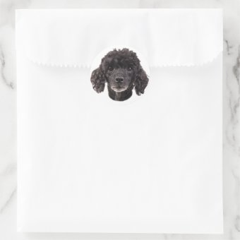 Portrait of a black poodle classic round sticker | Zazzle
