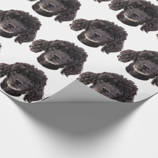 Portrait of a black poodle wrapping paper | Zazzle