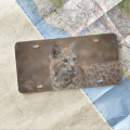 Portrait of a Bobcat License Plate | Zazzle