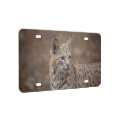 Portrait of a Bobcat License Plate | Zazzle