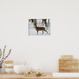 Portrait of a Doe Poster | Zazzle