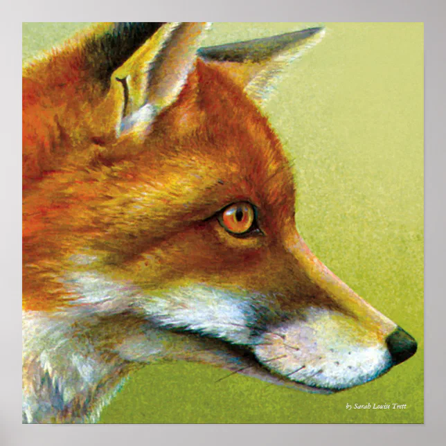 Portrait of a fox fine art poster print | Zazzle