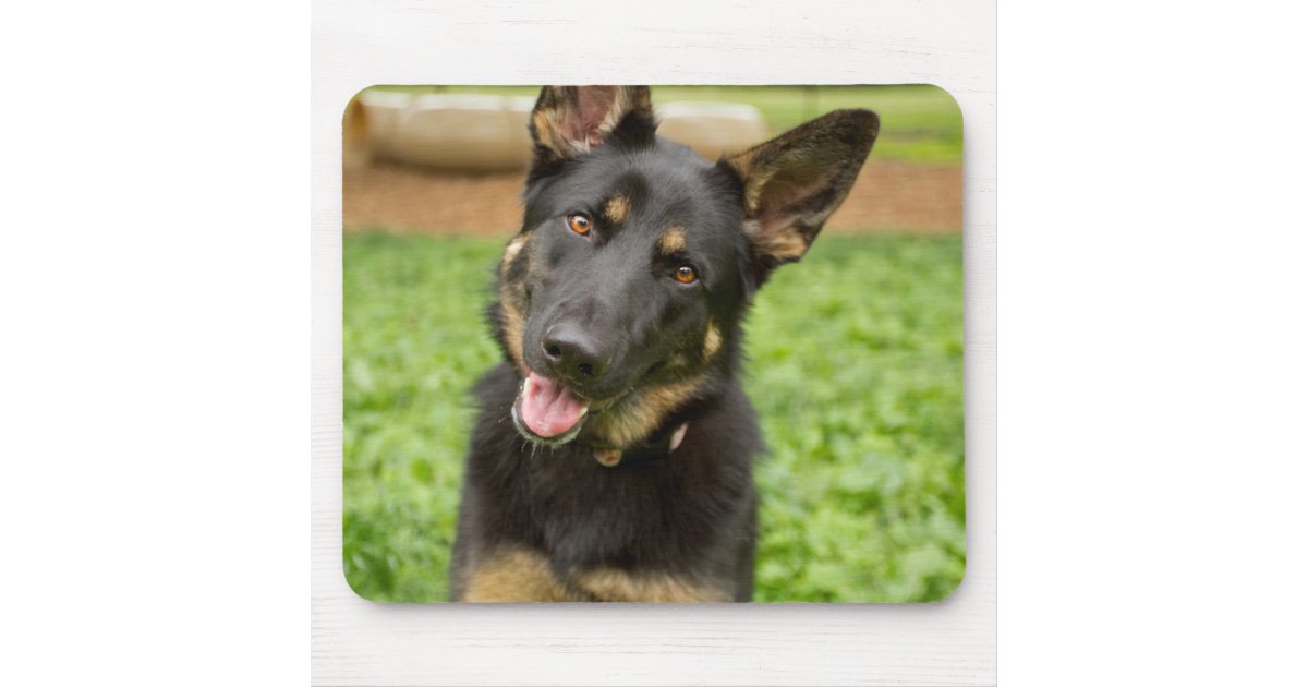 Portrait of a German Shepherd Mouse Pad | Zazzle