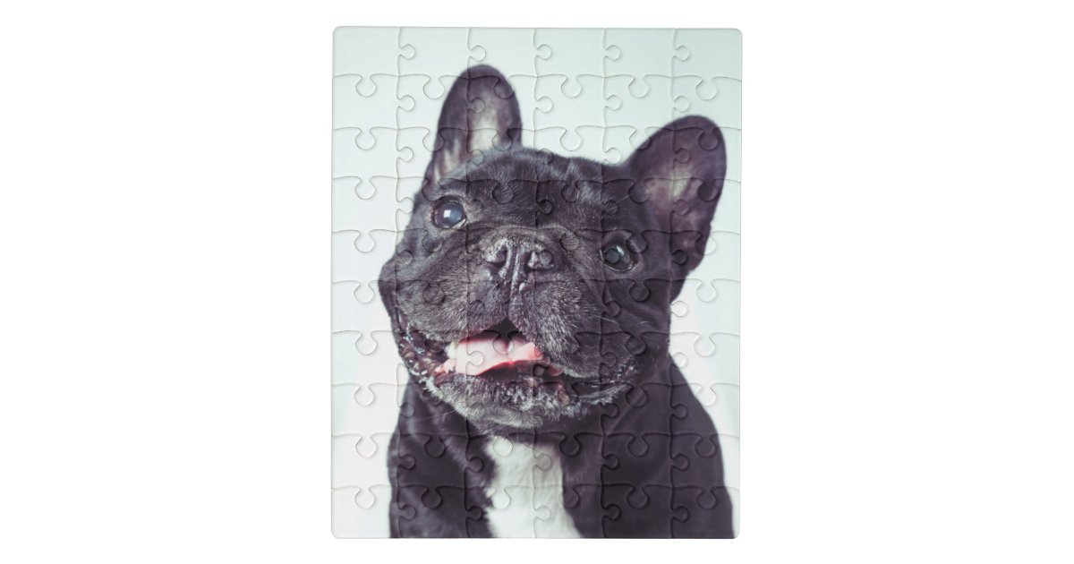 Portrait of a Happy French Bulldog Jigsaw Puzzle | Zazzle