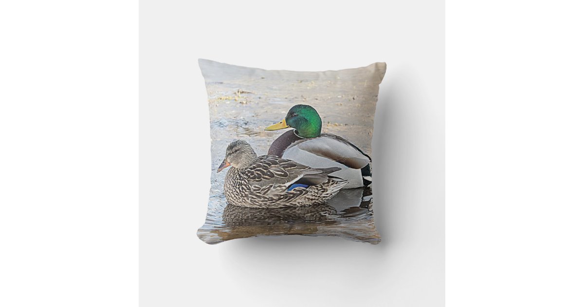Portrait of a male and female mallard throw pillow | Zazzle
