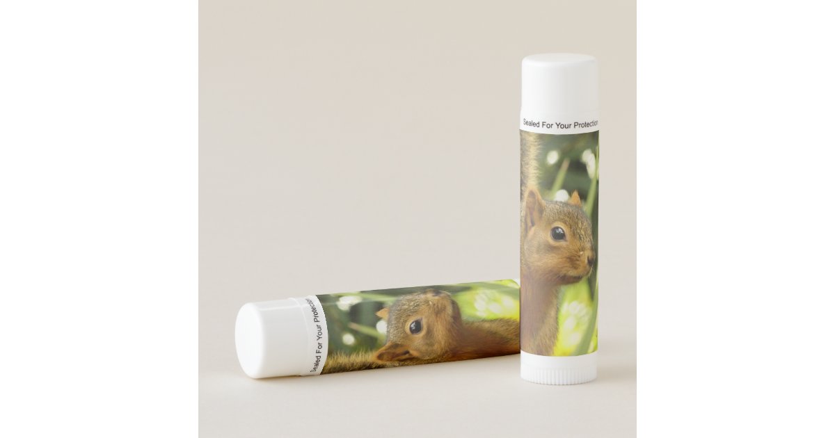 Portrait of a Squirrel Nature Animal Photography Lip Balm | Zazzle