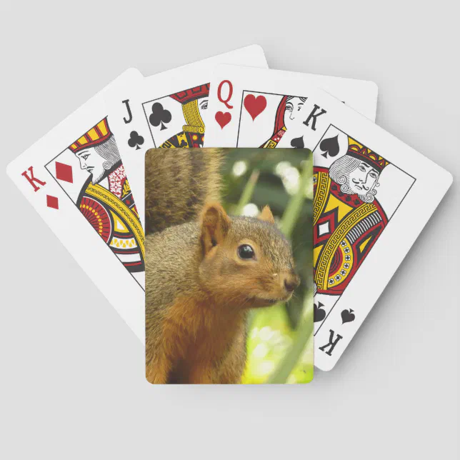 Portrait of a Squirrel Nature Animal Photography Poker Cards | Zazzle