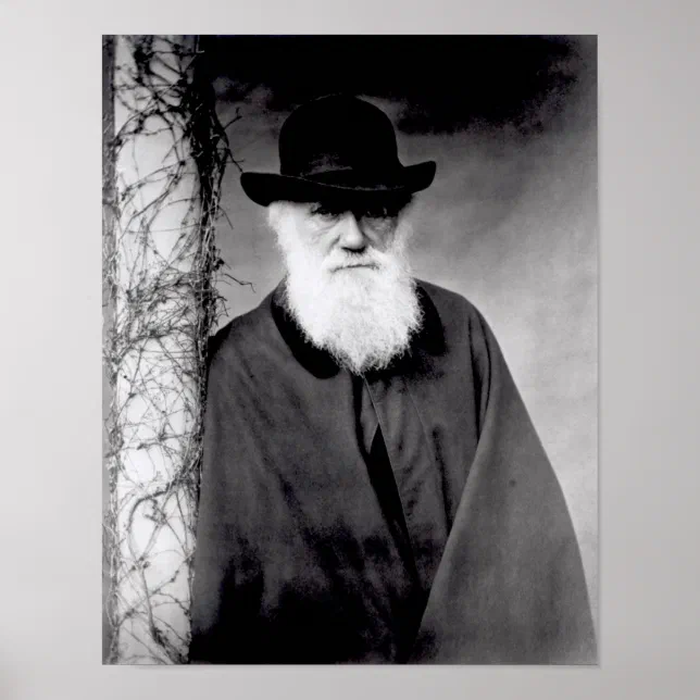 Portrait of Charles Darwin 1881 Poster | Zazzle