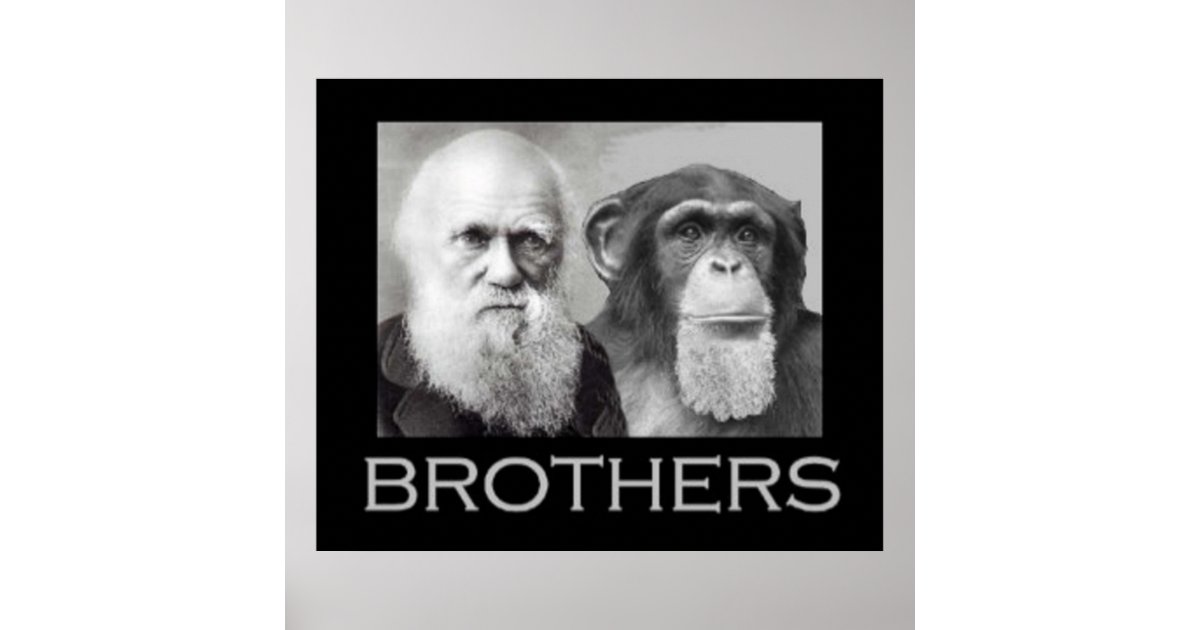 Portrait of Charles Darwin and Ape Poster | Zazzle