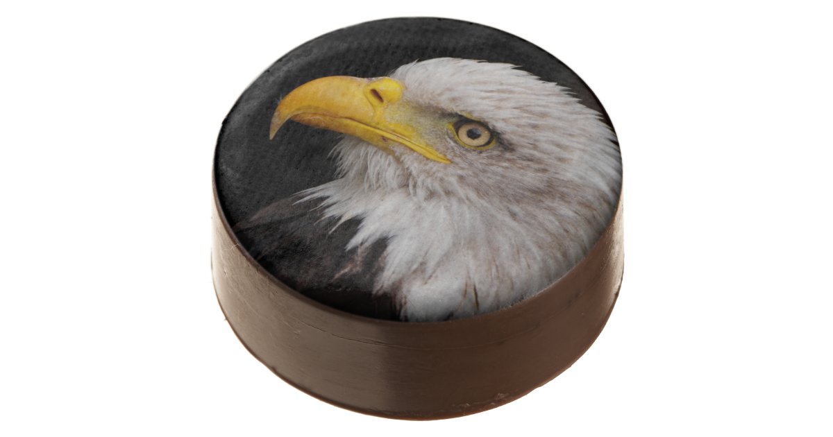 Portrait of eagle chocolate dipped oreo | Zazzle