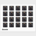 Portrait of Franz Liszt 1839 Square Sticker | Zazzle