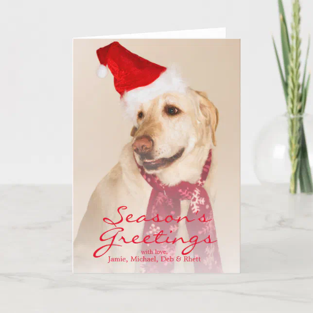 Portrait of Labrador Retriever Wearing Santa Hat Holiday Card | Zazzle
