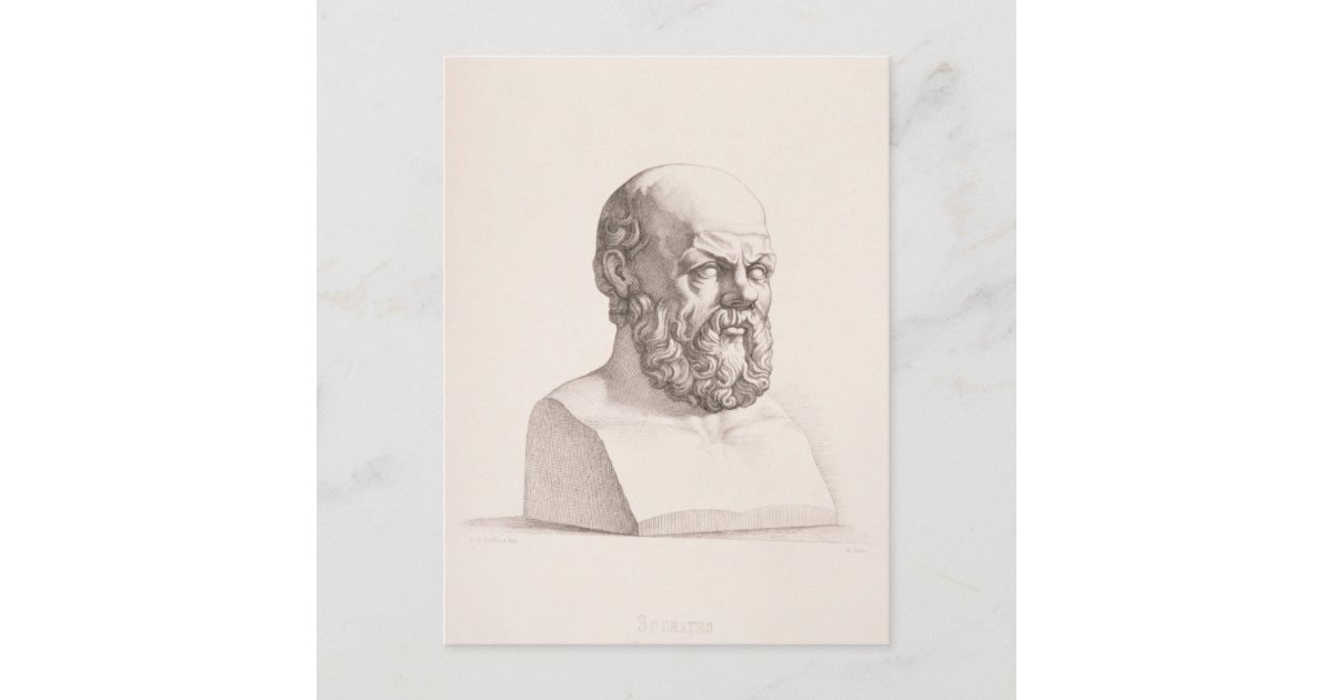 Portrait of Socrates Postcard | Zazzle