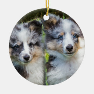 Sheltie Ornaments & Keepsake Ornaments | Zazzle
