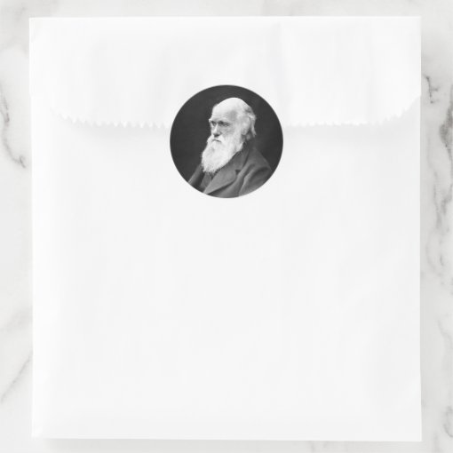 Portrait Photo of Charles Darwin Classic Round Sticker | Zazzle