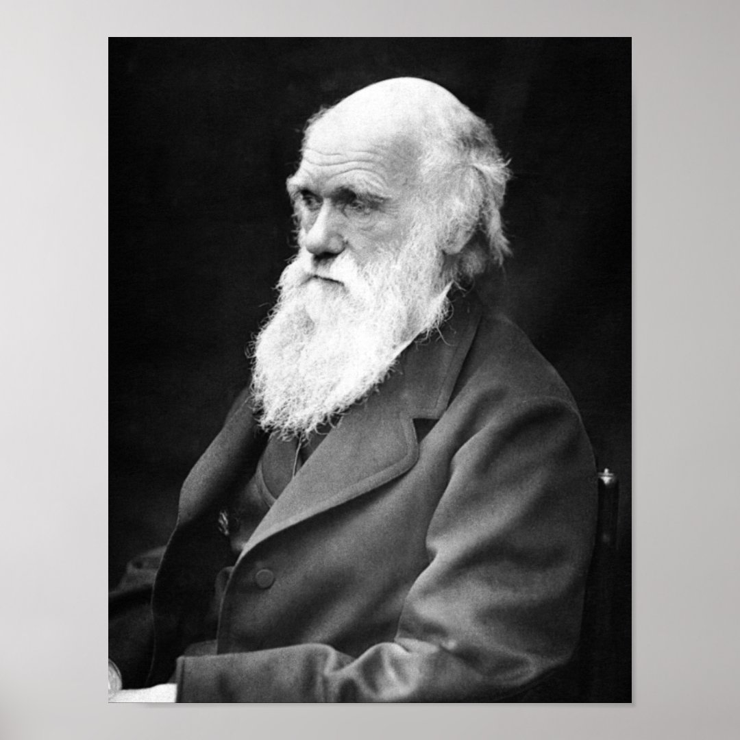 Portrait Photo of Charles Darwin Poster | Zazzle