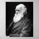 Portrait Photo of Charles Darwin Poster | Zazzle