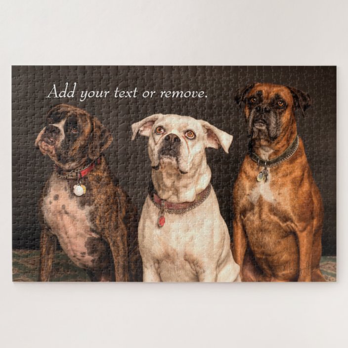 Portrait photograph of 3 cute boxer dogs. jigsaw puzzle | Zazzle.com