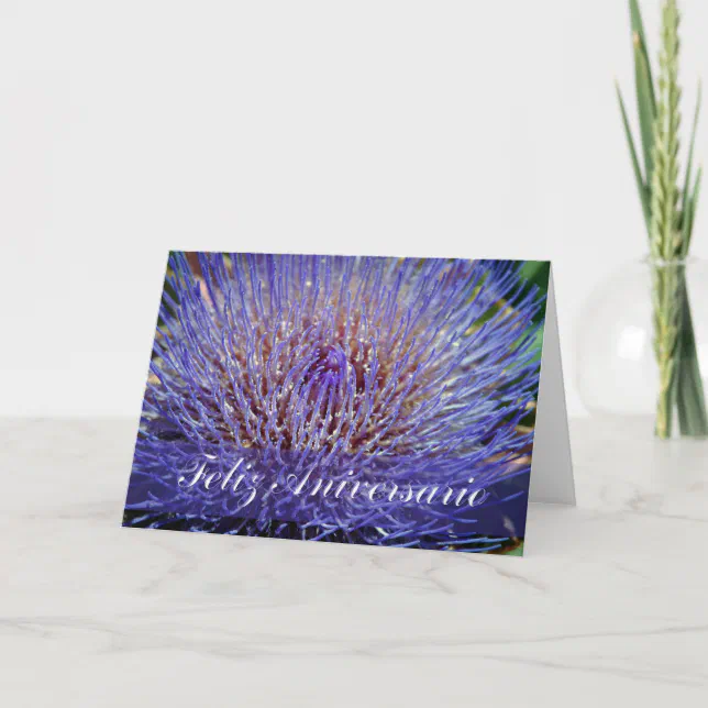 Portuguese Birthday Card | Zazzle