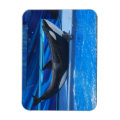 Posing Orca Flexible Magnet | Zazzle