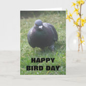 Posing Pigeon Custom Birthday Card | Zazzle