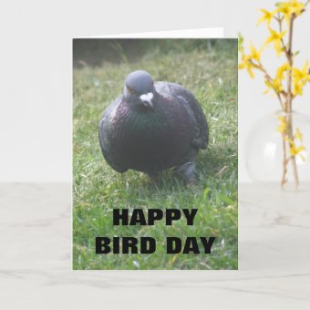 Posing Pigeon Custom Birthday Card | Zazzle