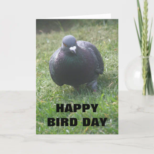 Posing Pigeon Custom Birthday Card | Zazzle