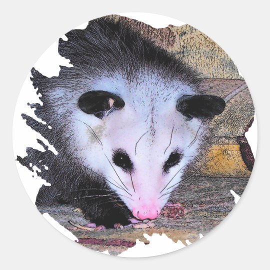 Possum Opossum Classic Round Sticker | Zazzle.com