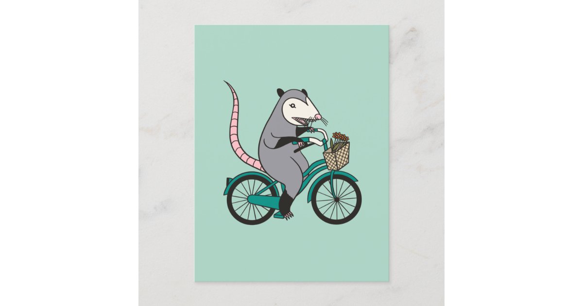 Possum Riding a Bicycle Postcard | Zazzle