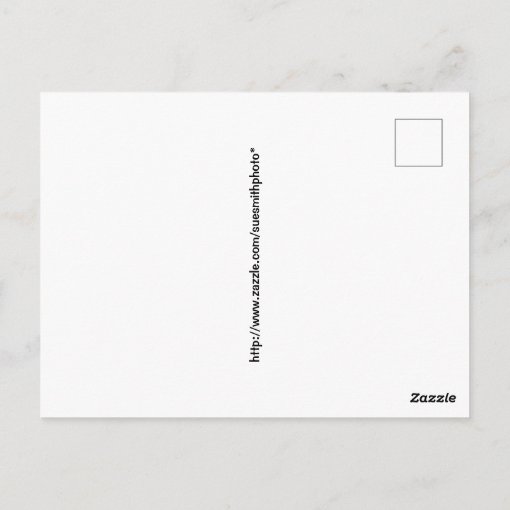 Post Office Combination Lock Boxes Postcard | Zazzle