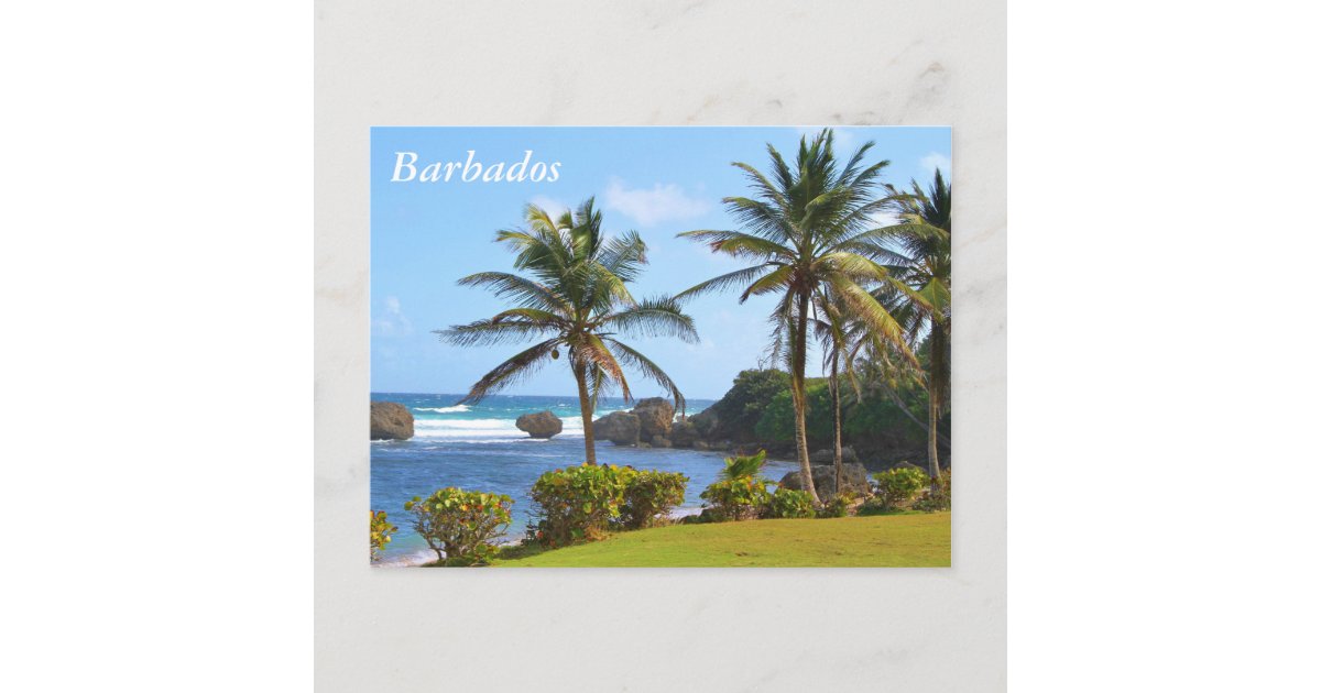 Postcard, Barbados, Beach Scene, Palm Trees Postcard | Zazzle