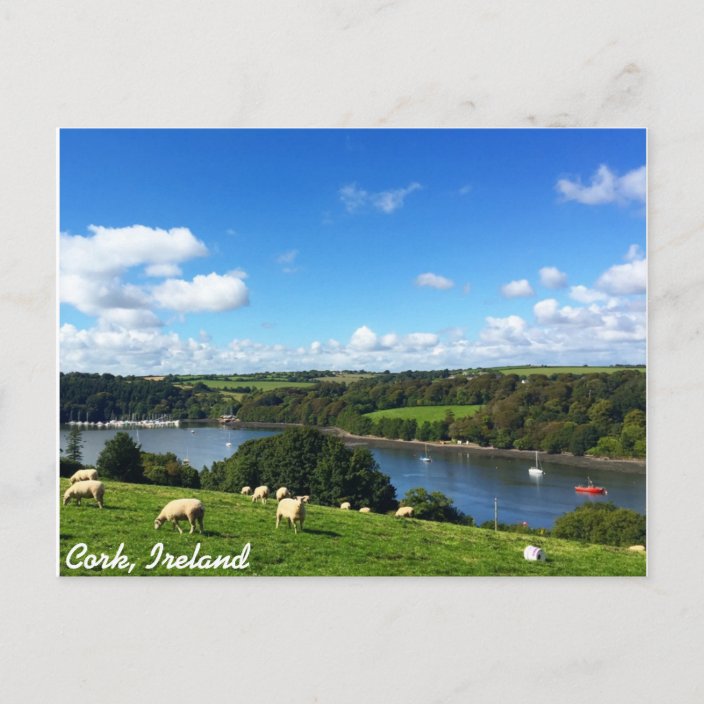 Postcard Cork, Ireland | Zazzle.com