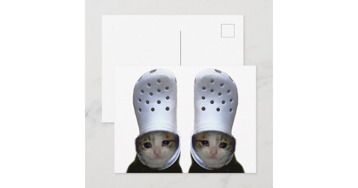 Postcard Crying Cat Croc Hat Meme | Zazzle
