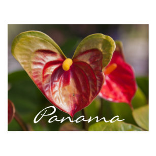 Panama Postcards - No Minimum Quantity | Zazzle
