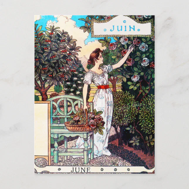 Postcard: Month of June - Juin Postcard | Zazzle