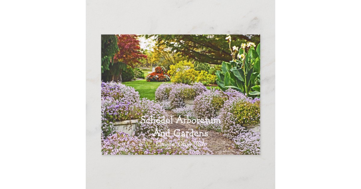 postcard, Schedel Arboretum and Gardens Postcard | Zazzle