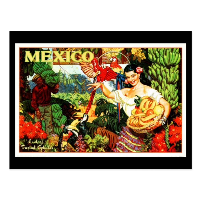 Postcard-VIntage Travel-Mexico 2 Postcard | Zazzle.com