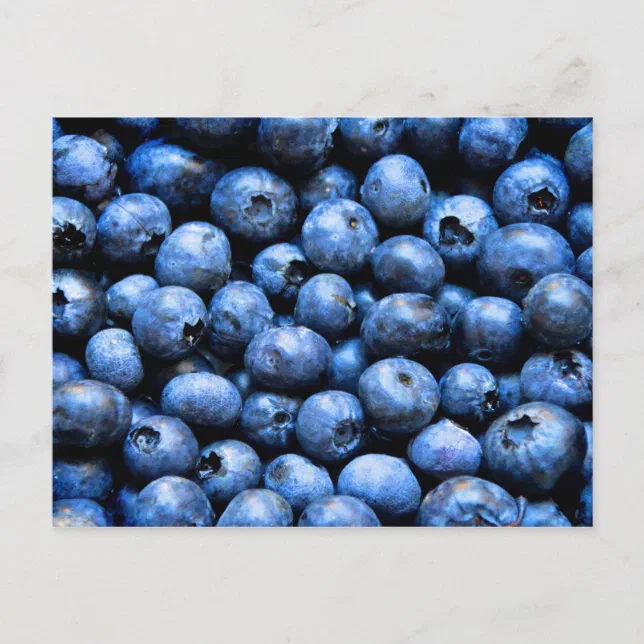 Postcard with blueberries | Zazzle